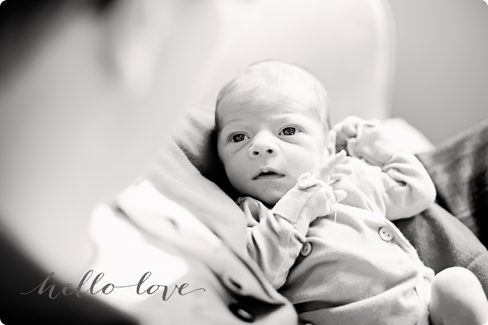 baby soren | minneapolis newborn + family photographer » hello love ...